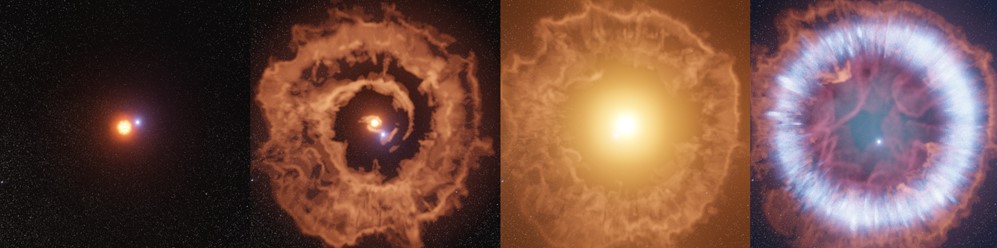 Resurrected Supernova Provides Missing-Link – THE UNIVERSITY OF OSAKA ...